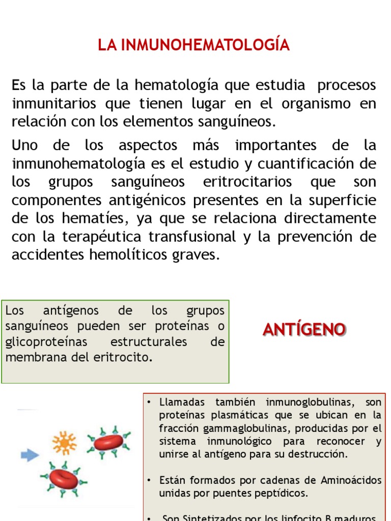 Introducción a la Inmunohematología | PDF | Anticuerpo | Antígeno