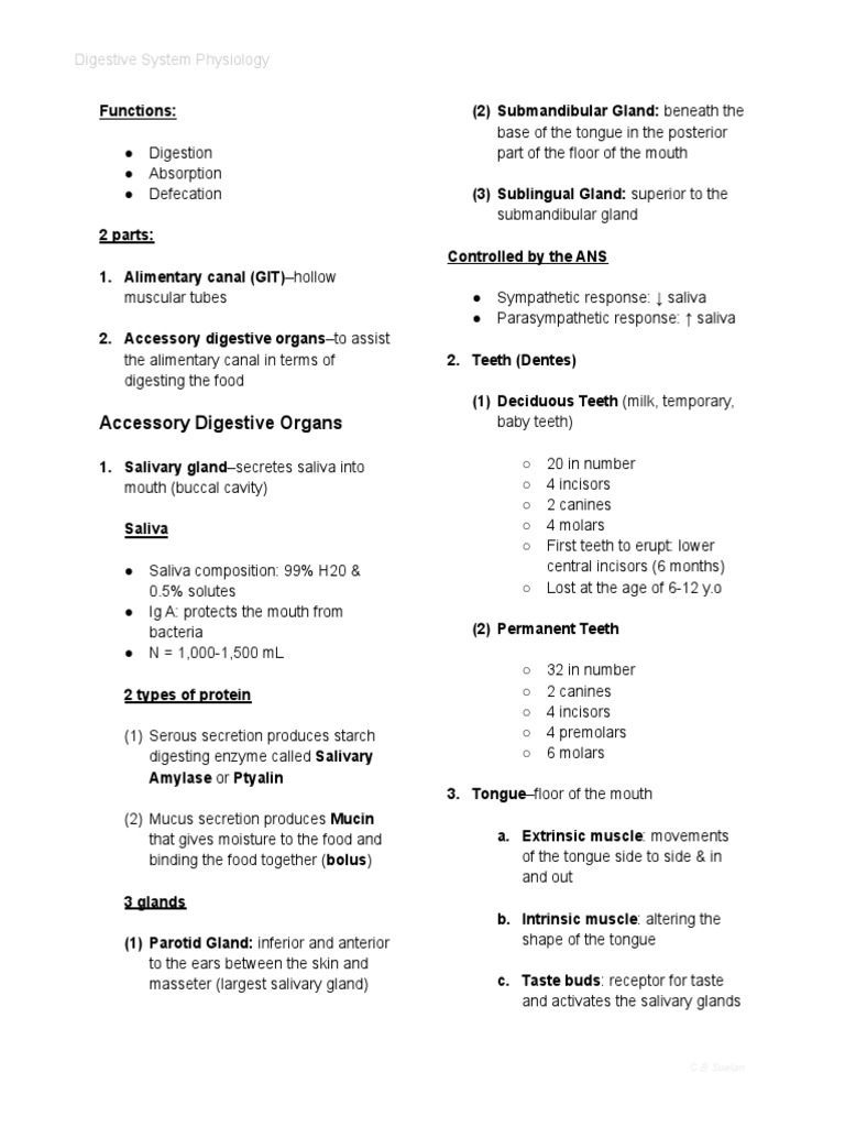 Digestive System Overview and Functions | PDF | Stomach | Digestion