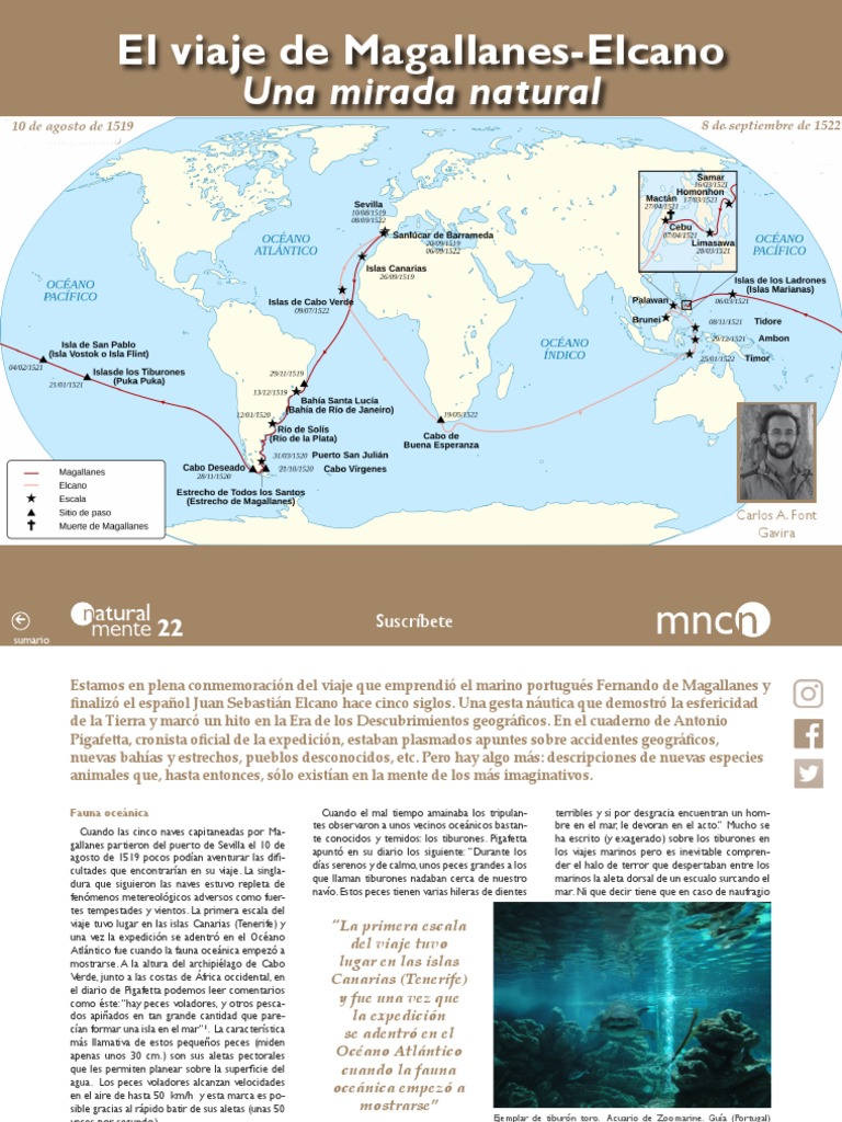Fauna Descubierta en el Viaje de Magallanes | PDF | Aves | Tiburones