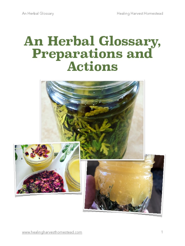 PDF An Herbal Glossary | PDF | Tea | Essential Oil