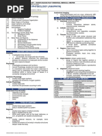 Understanding Responsiveness in Anatomy | PDF | Human Body | Morphology ...