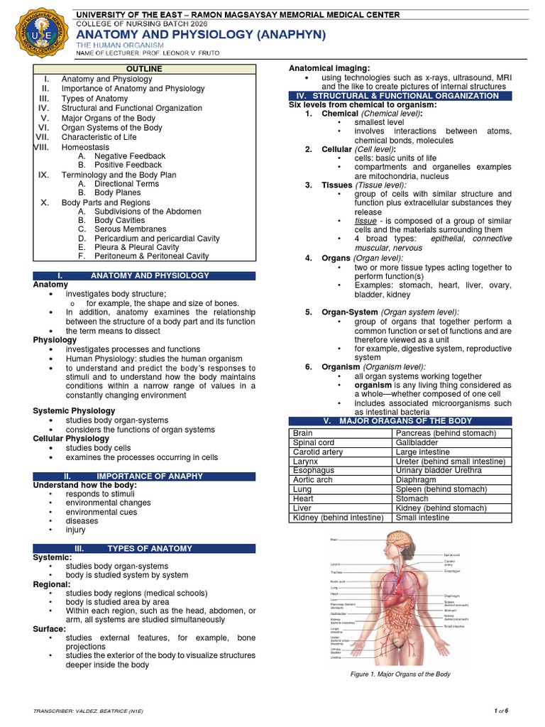 Anatomical Descriptive Source - Integumentary Skin, Tissue, and Cells ...