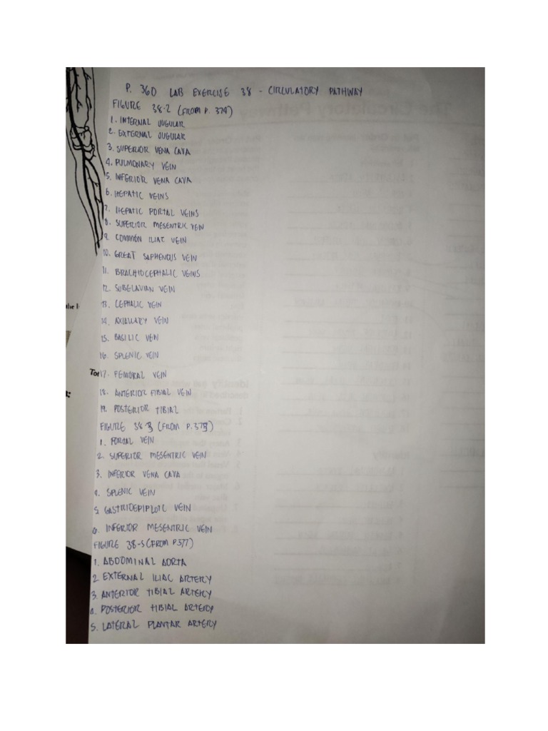 M4 Post Task 4 | PDF