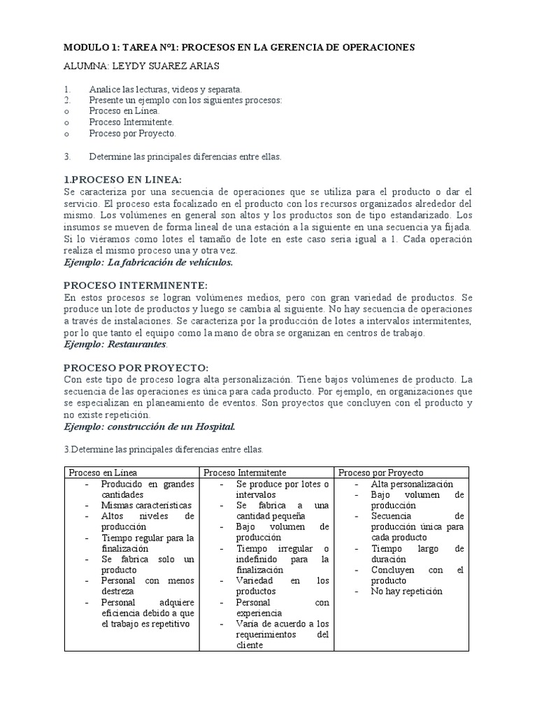 Modulo 1 Tarea N°1 Procesos en La Gerencia de Operaciones Lsa | PDF