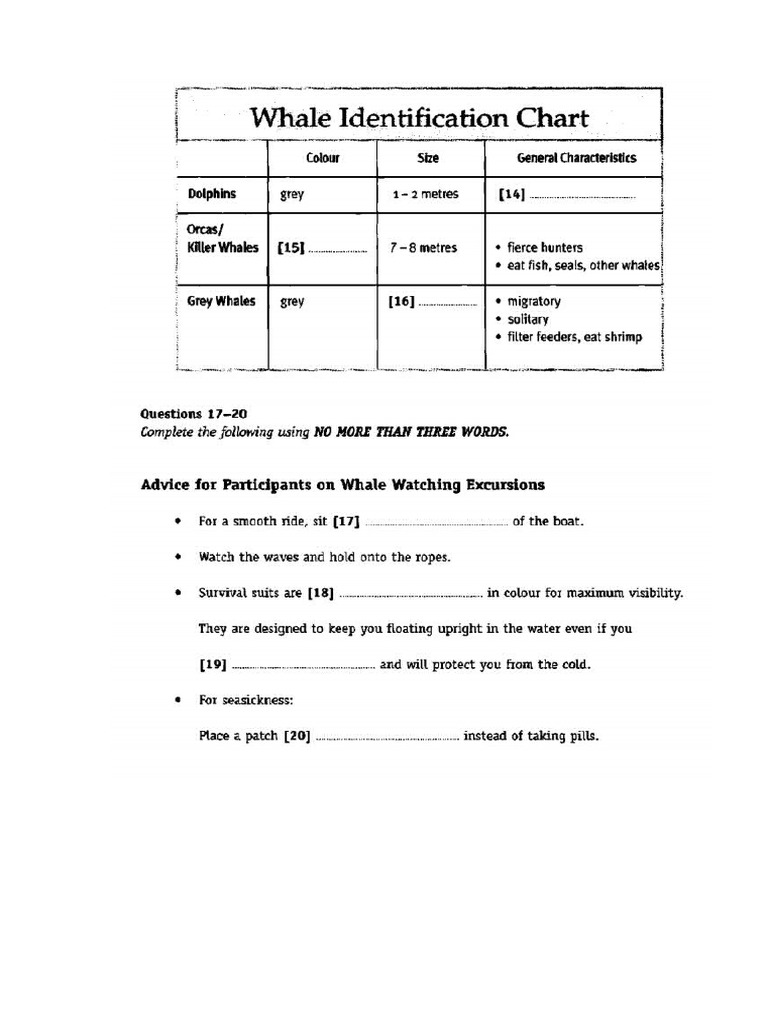 Whale Identification Chart 3 | PDF