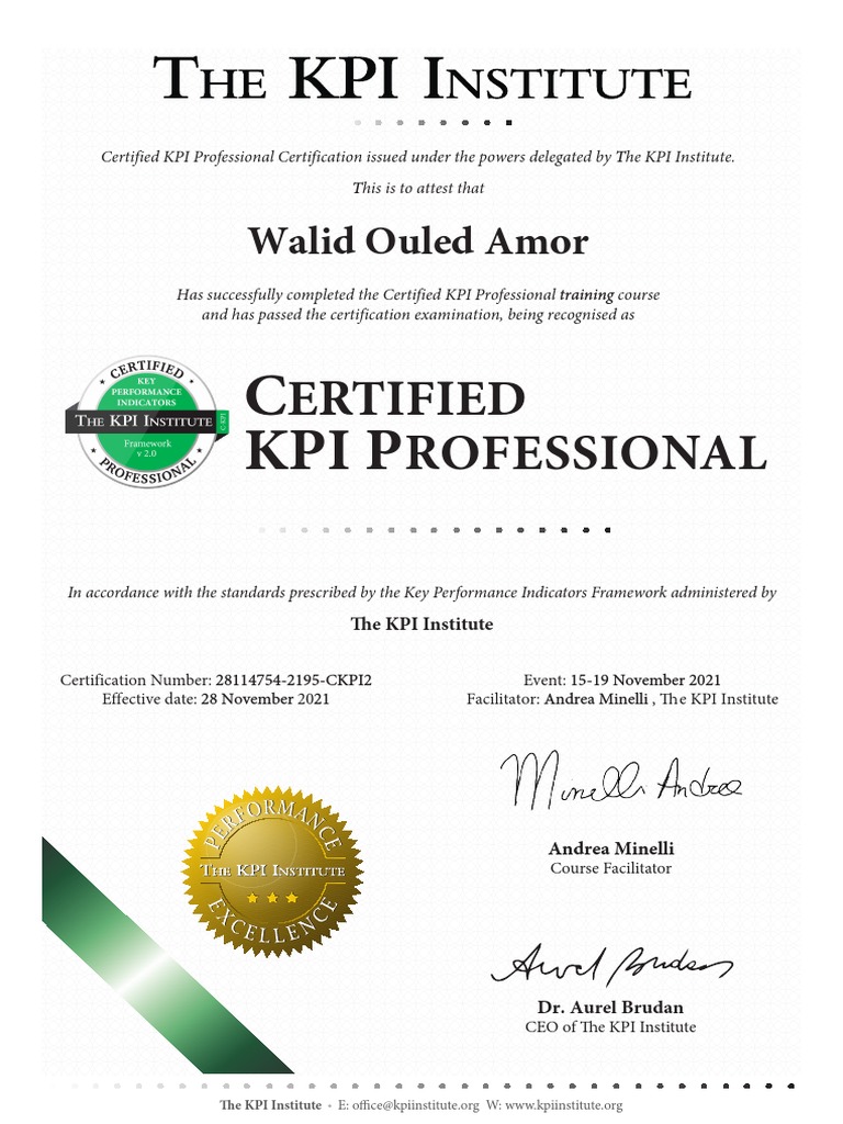 Certified Kpi Professional | PDF