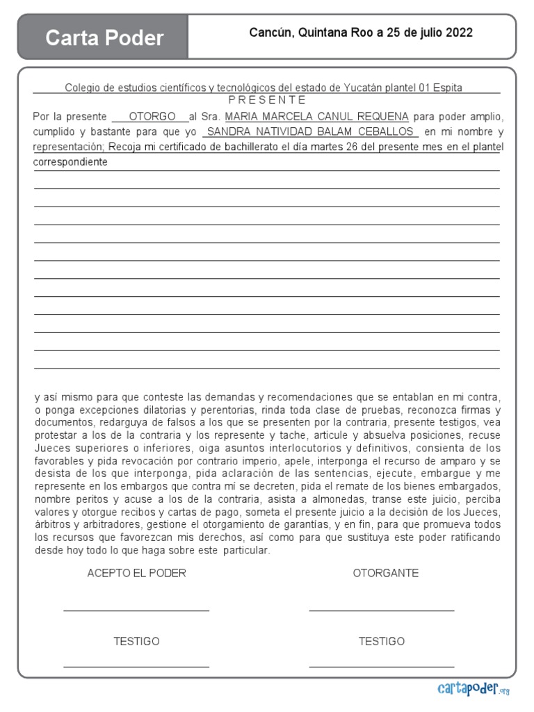 Carta Poder Para Imprimir | PDF