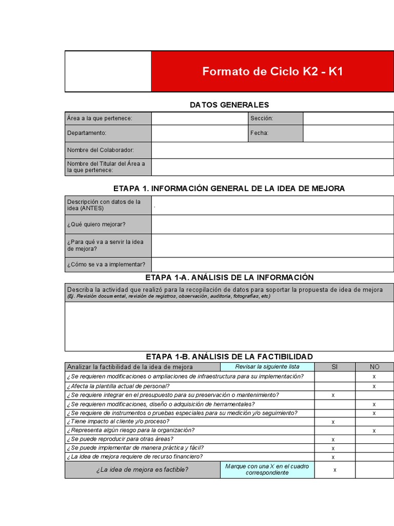 Formato de Ciclo K2 | PDF | Business | Informática