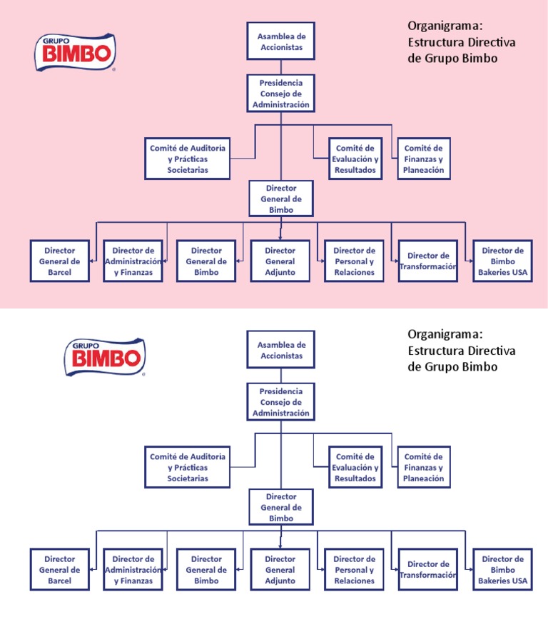 Estructura organizacional de Grupo Bimbo | PDF