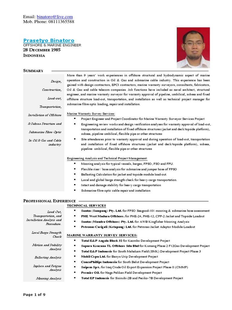 Binatoro CV-Jul18 PDF | PDF