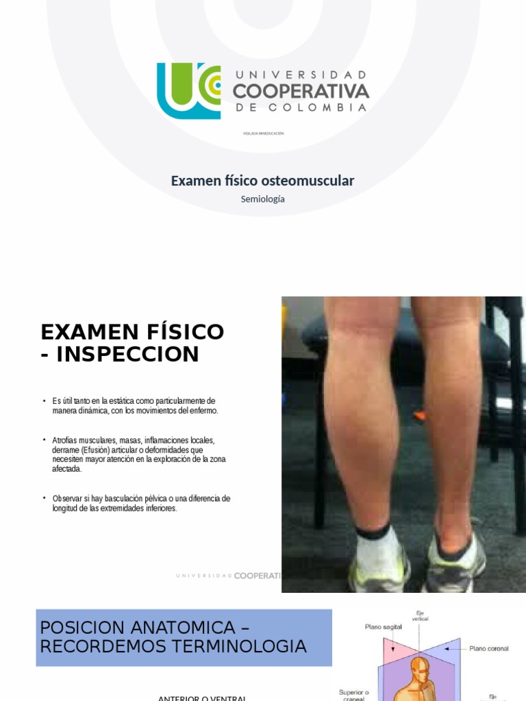 Examen Fisico Osteomuscular | PDF | Articulación | Músculo esquelético