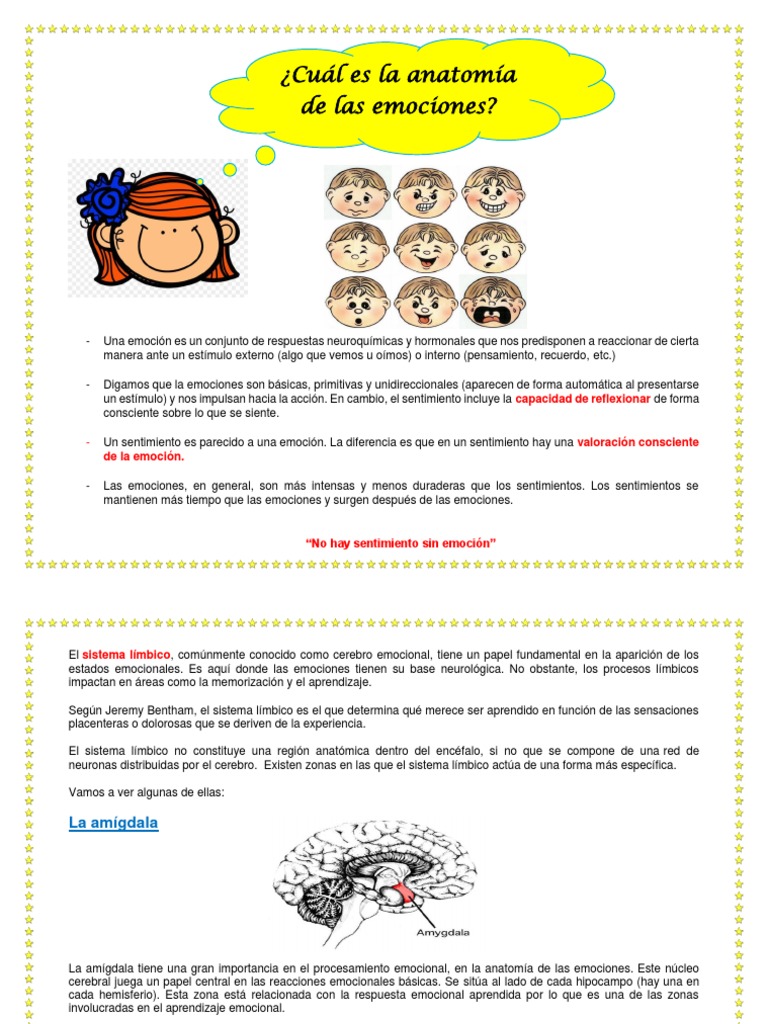 Anatomia De Las Emociones 1 Pdf Las Emociones Cerebro