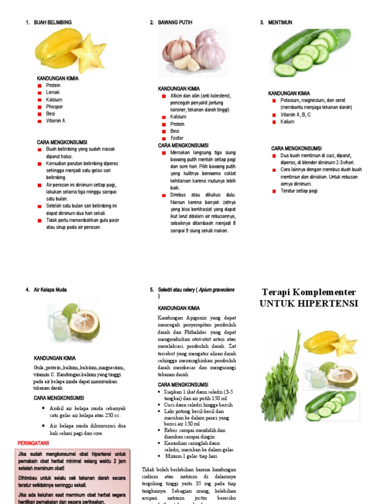 Leaflet Terapi Komplementer Hipertensi - Yeni Nuraeni - 18200100049 | PDF