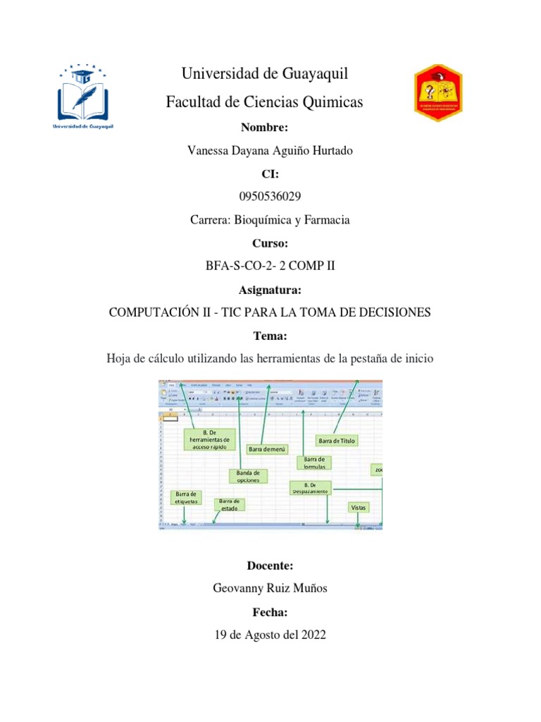 Hoja de Cálculo Utilizando Las Herramientas de La Pestaña de Inicio | PDF