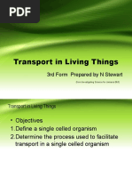 S3 PHYSICS Stars & Galaxies (Best Notes) | PDF | Stars | Galaxy