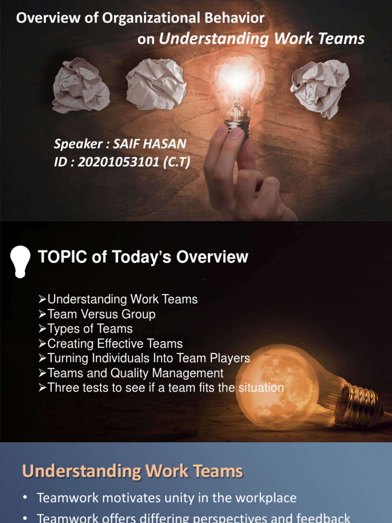 Overview of OB For Work in Teams | PDF | Industrial And Organizational ...