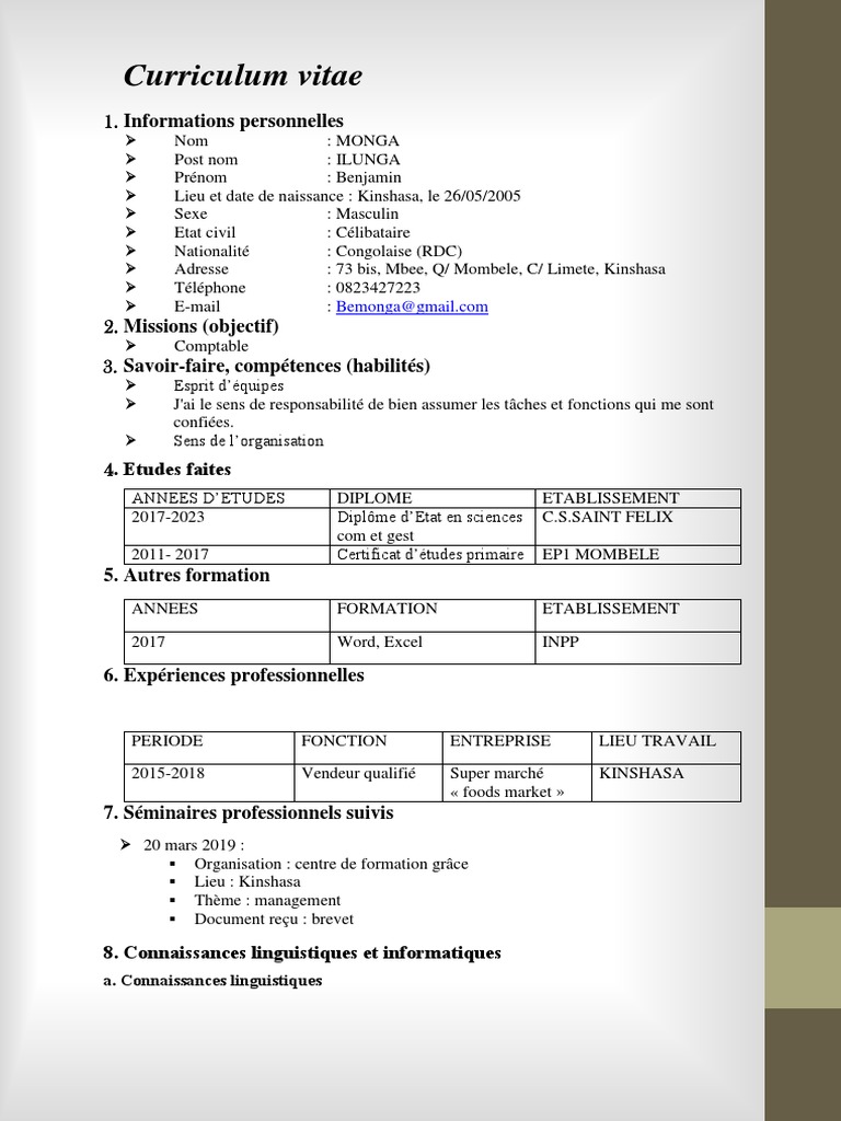 CV Benjamin | PDF