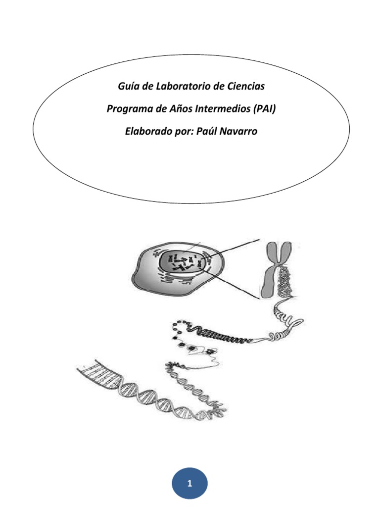 Navarro Guia De Laboratorio De Ciencias Pdf Laboratorios Evaluación
