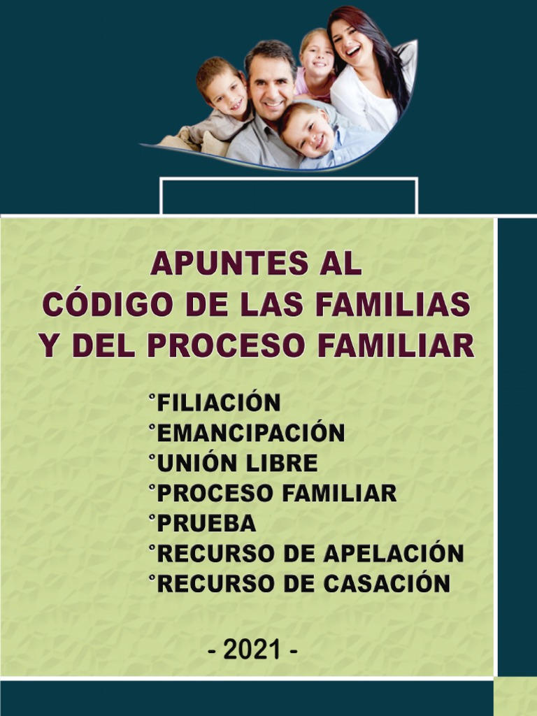 Apuntes Al Código de La Familia 2 | PDF | Parentesco | Adopción