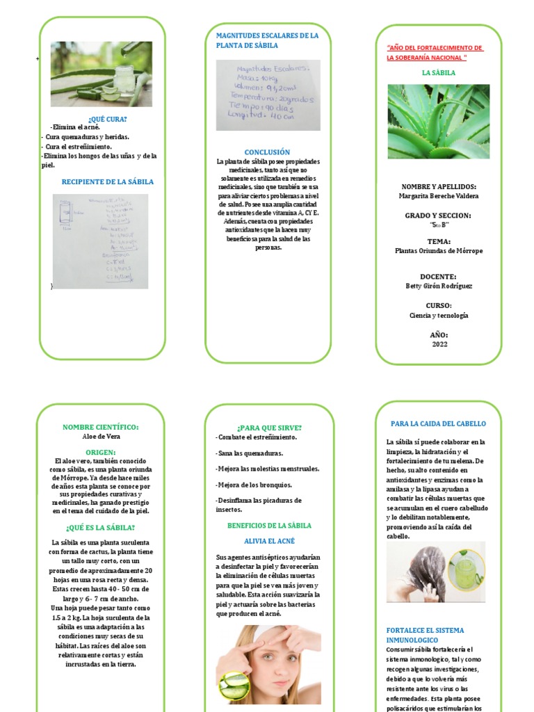 Triptico | PDF | Biología