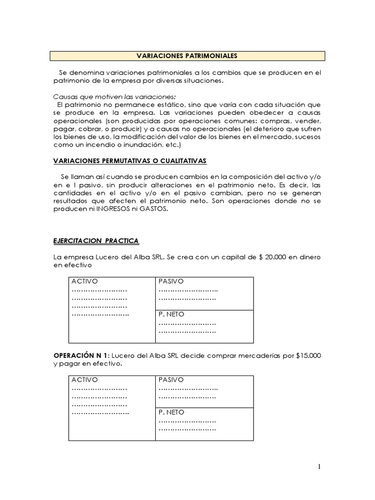 Variaciones Patrimoniales | PDF | Valor neto | Business