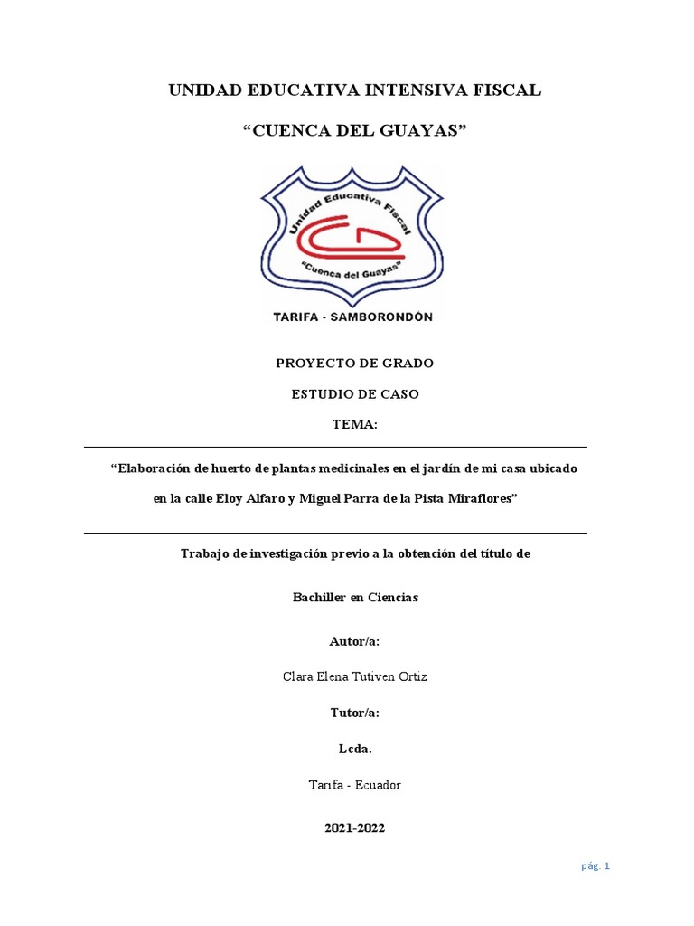 PROYECTO-CLARA ELENA TUTIVEN ORTIZ - Corregido | PDF | Huerta | Plantas medicinales