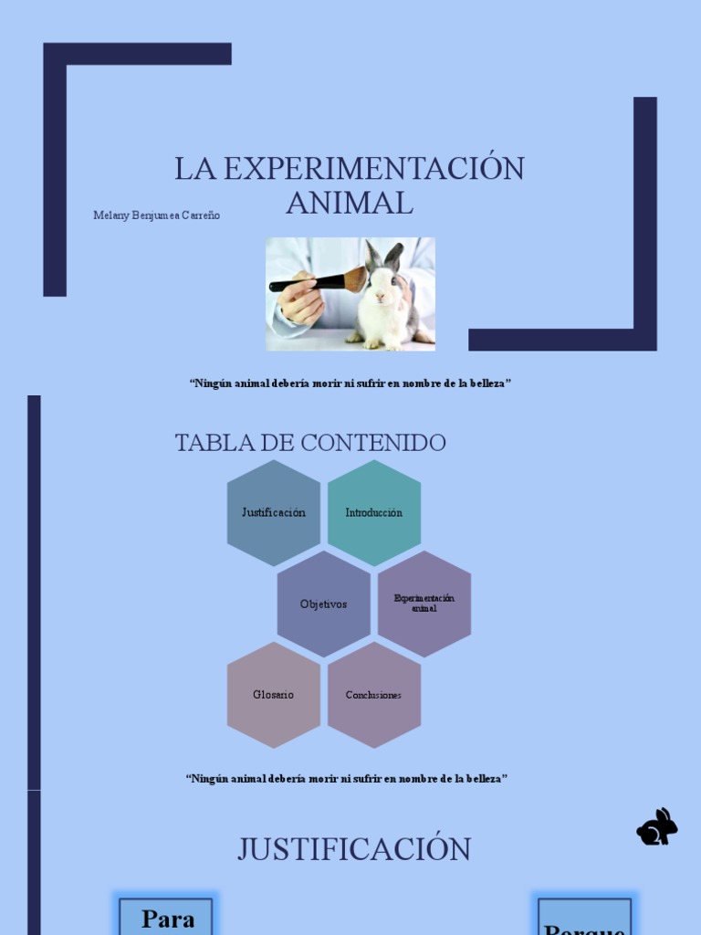 La Experimentación Animal. | PDF | Pruebas en animales | Ensayos