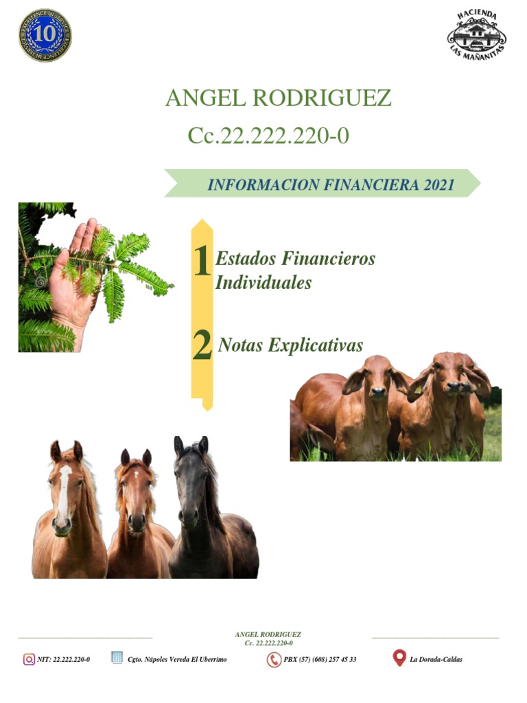 By Jaider Gutierrez y Leonardo Esguerra Informacion Financiera Angel ...