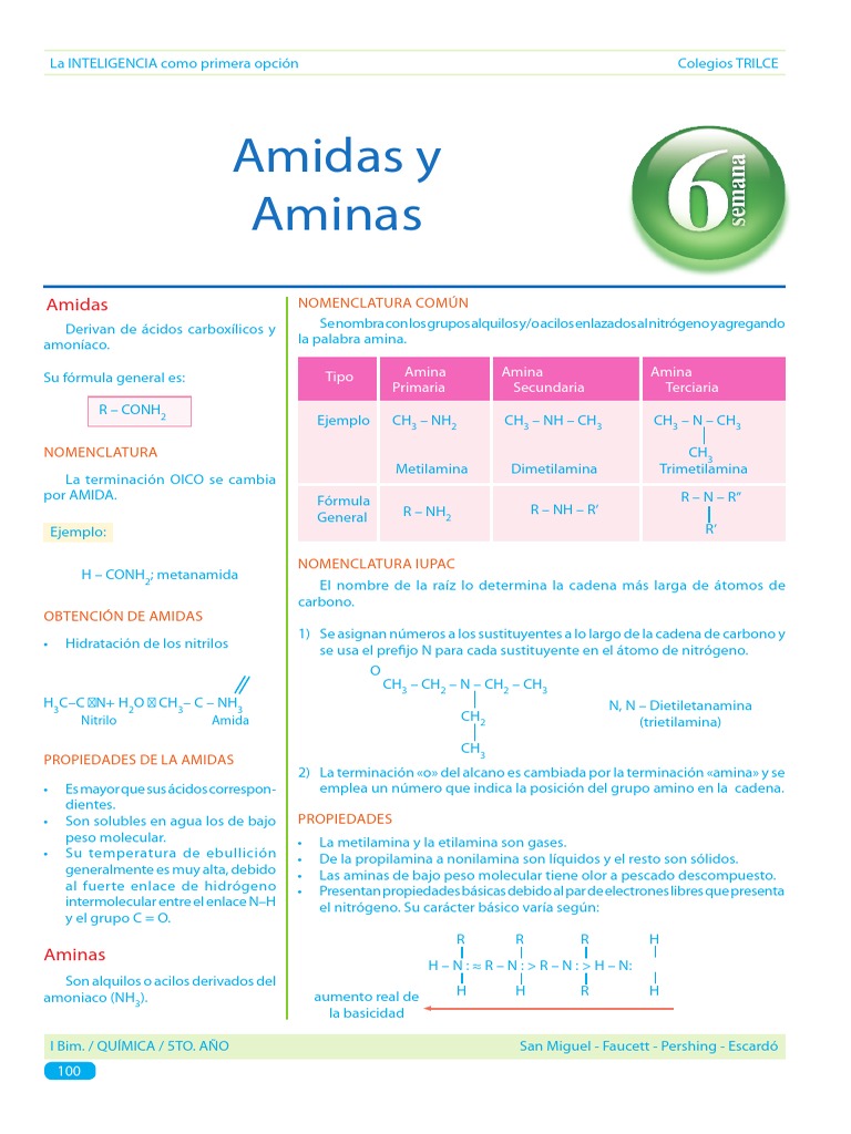 Sem 6 Amidas y Aminas | PDF | Amoníaco | Amida
