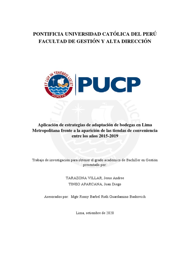Estrategias de Bodegas en Lima 2015-2019 | PDF | Perú | Gestión estratégica