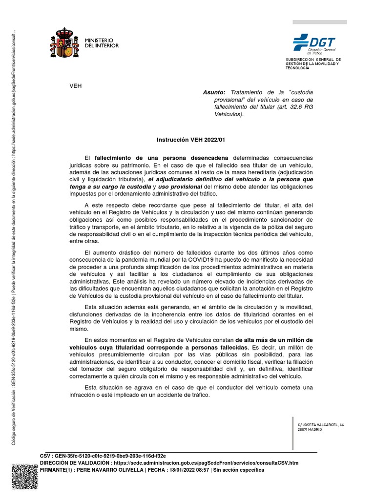 VEH 2022 01 Instruccion Custodia Provisional | PDF