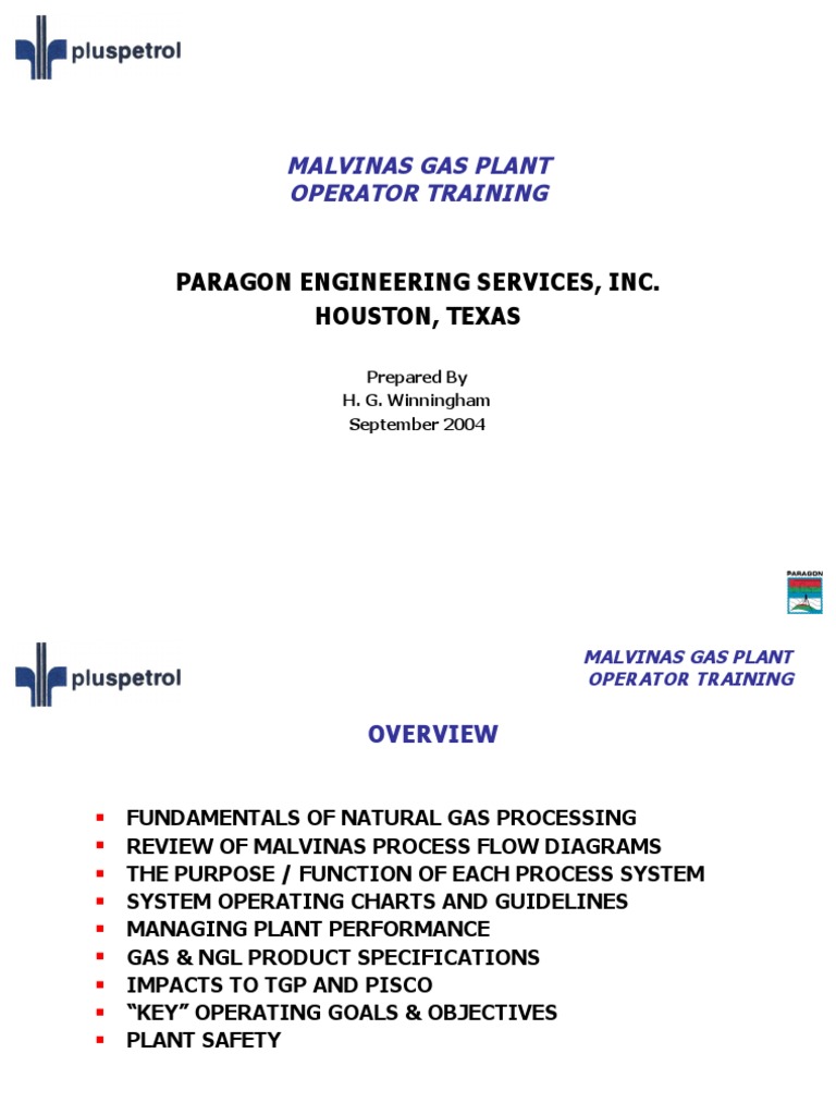 Malvinas Gas Plant Operator Training: Paragon Engineering Services, Inc ...