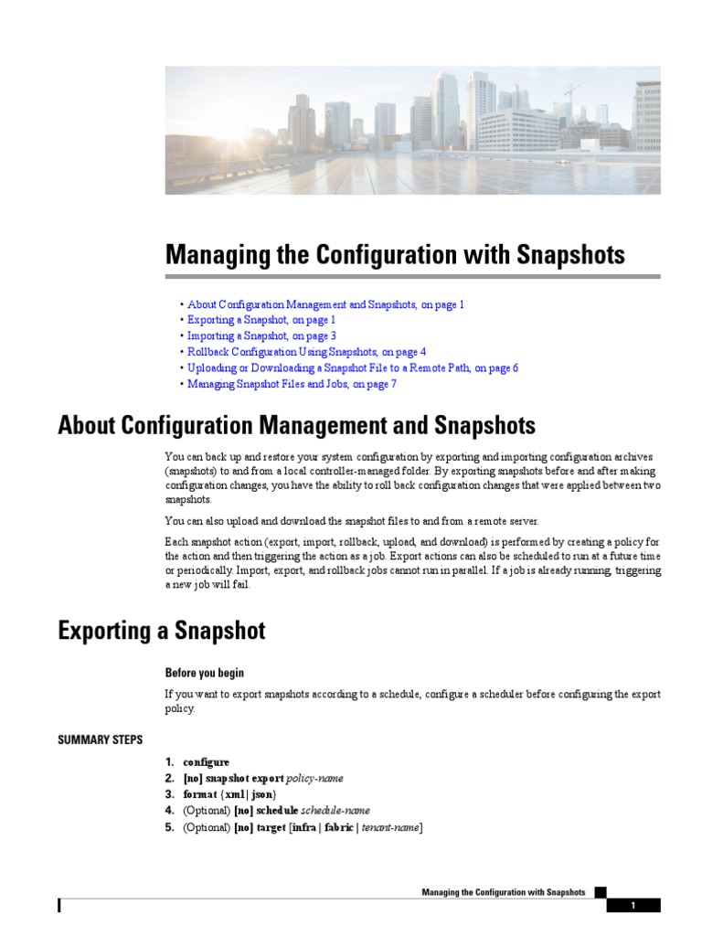 B APIC NXOS CLI User Guide 411 - Chapter - 010010 | PDF | Computer File | Filename