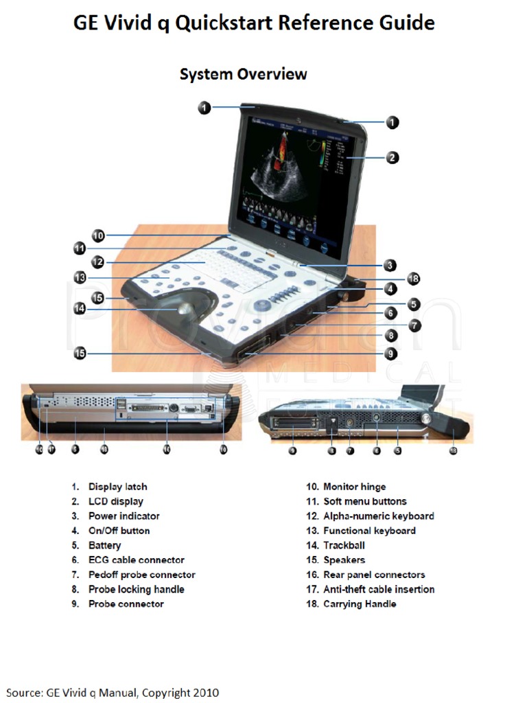 GE Vivid Q Quick Guide Knobology Training | PDF