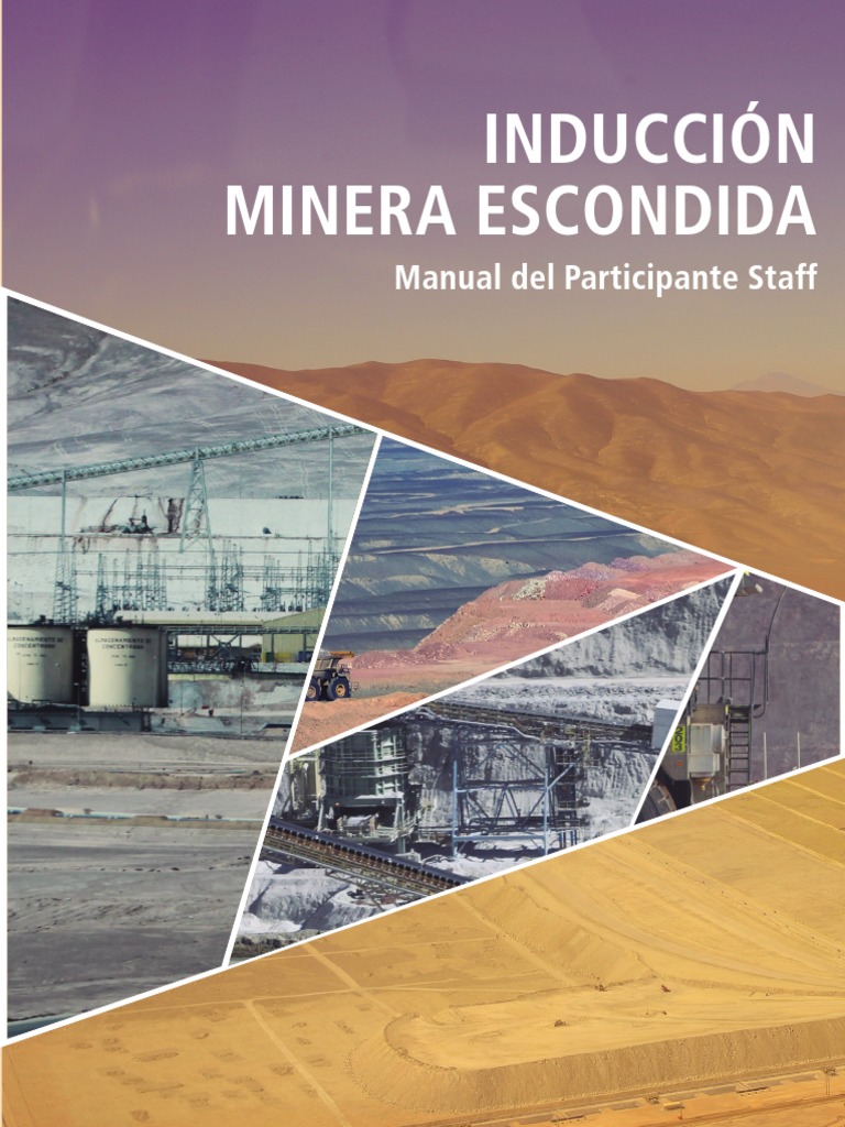 Manual Relator | PDF | Sonido | Decibel