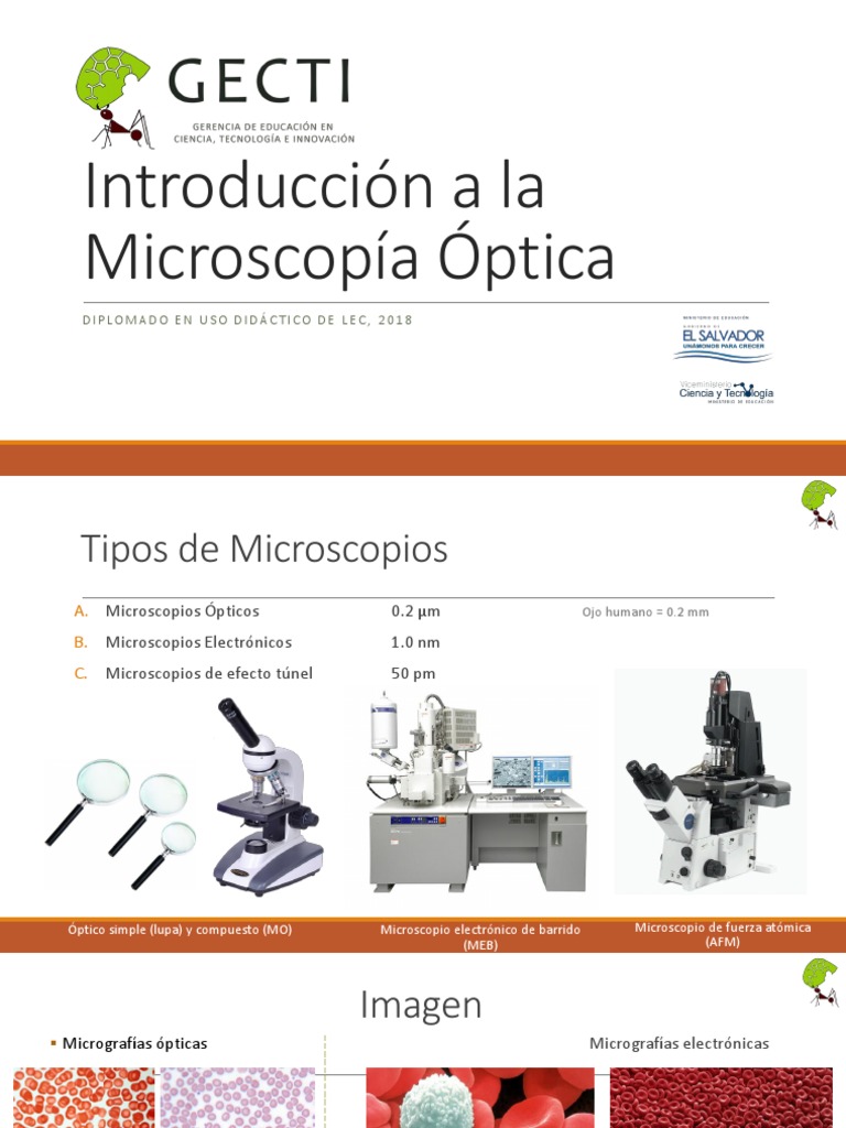 Tipos y Partes del Microscopio Óptico | PDF | Óptica | Electromagnetismo