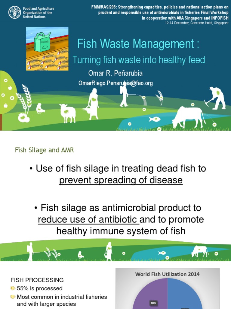 Maximizing Fish Waste Through Sustainable Fish Silage Production | PDF ...