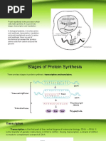 Movie Analogy for Protein Synthesis | PDF | Translation (Biology ...