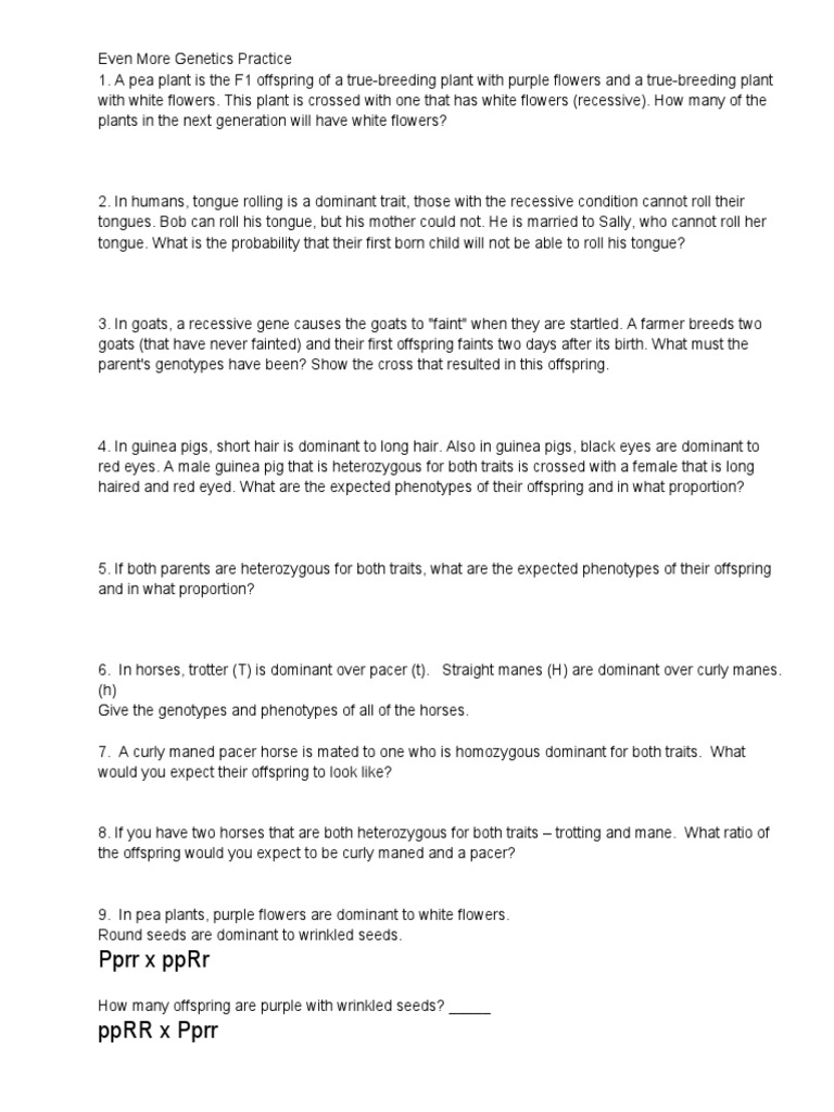 Even More Genetics Practice | PDF | Dominance (Genetics) | Genotype
