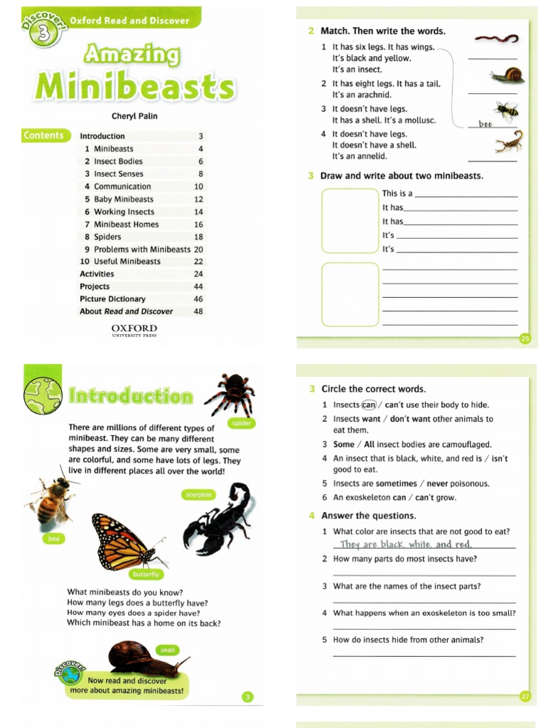 Amazing Minibeasts Par | PDF