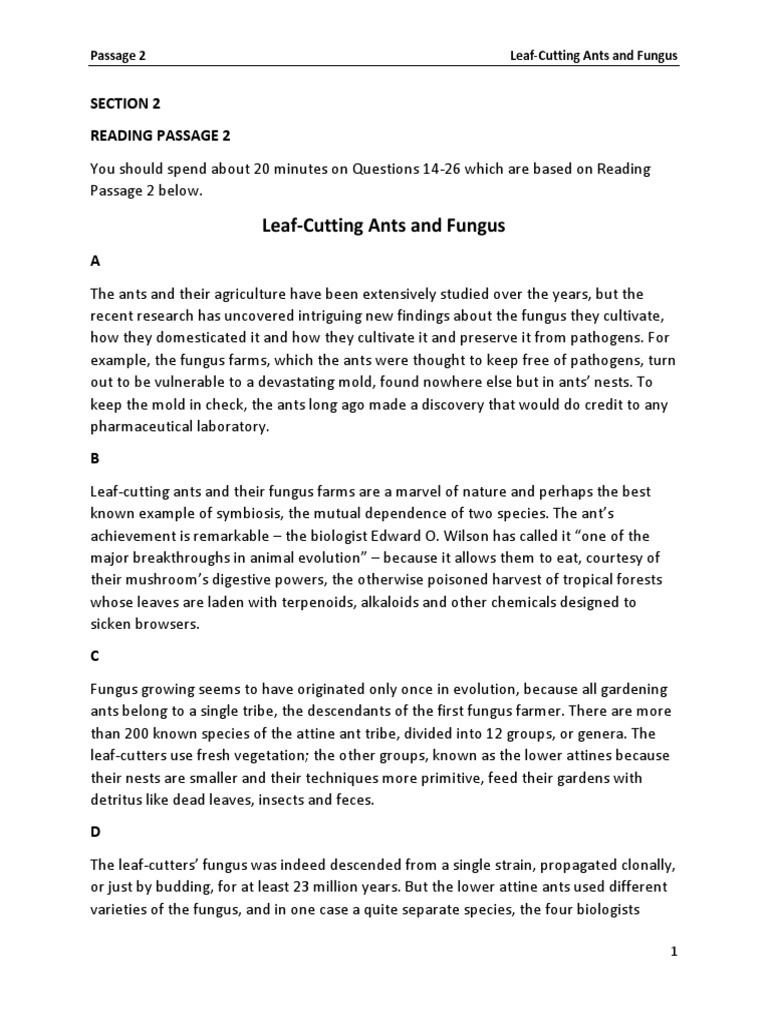 19 Passage 2 - Leaf-Cutting Ants and Fungus Q14-26 | PDF | Fungus | Ant