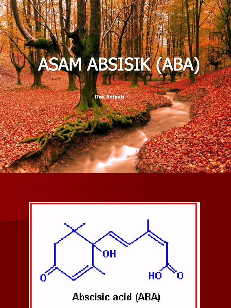 Asam Absisat | PDF