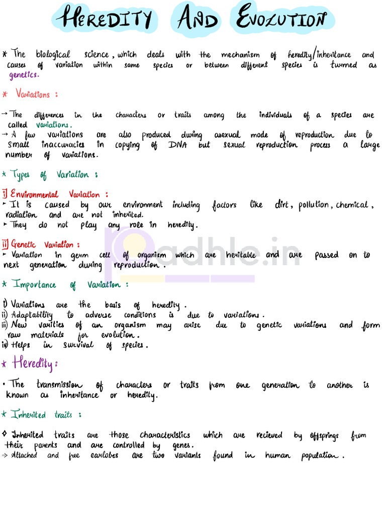 Padhle 10th - Heredity & Evolution | PDF | Dominance (Genetics) | Allele