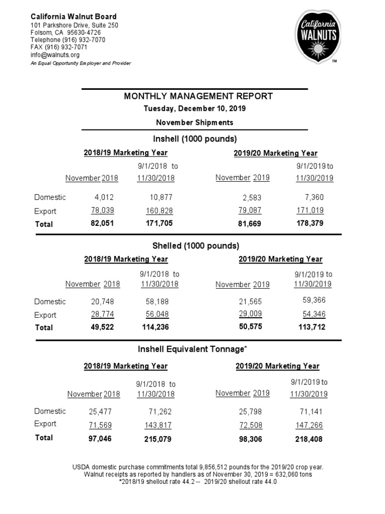 Monthly Management Report Format | PDF | Asia