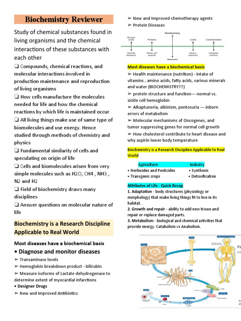 Biochemistry Reviewer | PDF | Cell (Biology) | Proteins