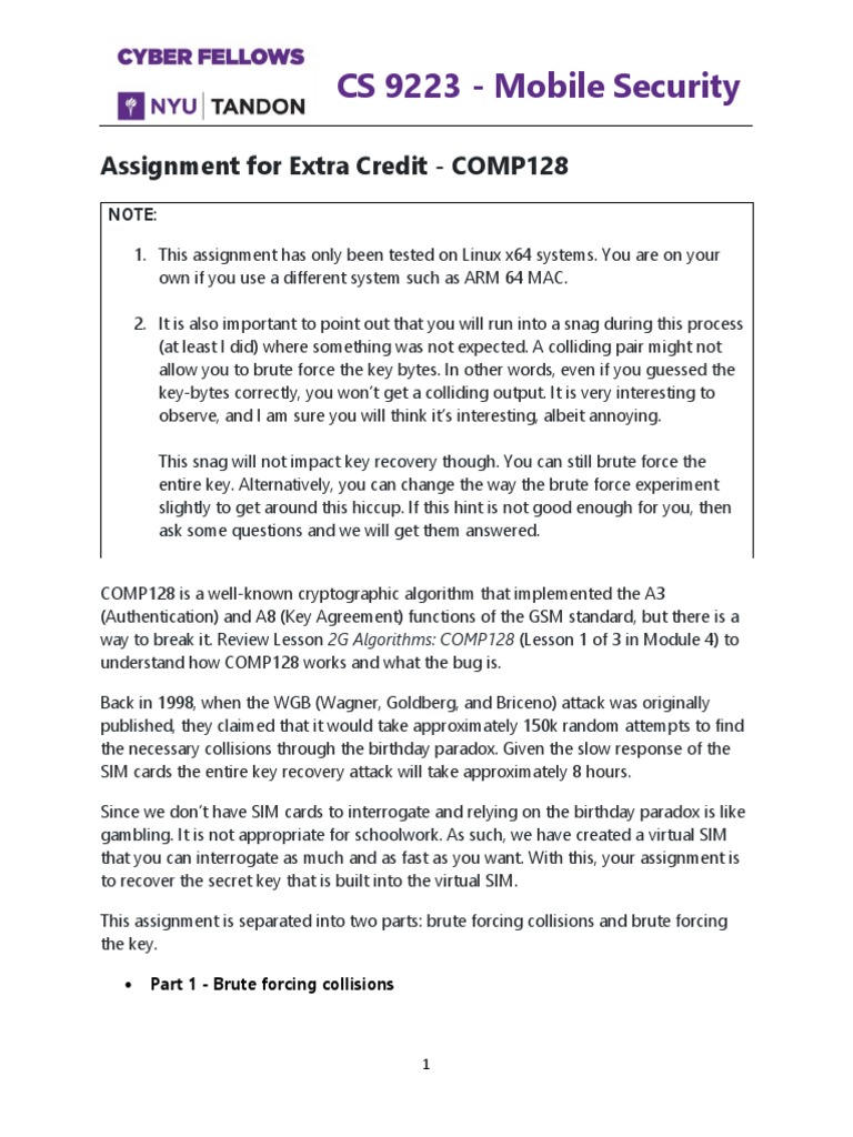 Assignment For Extra Credit | PDF | Computer Programming | Cryptography