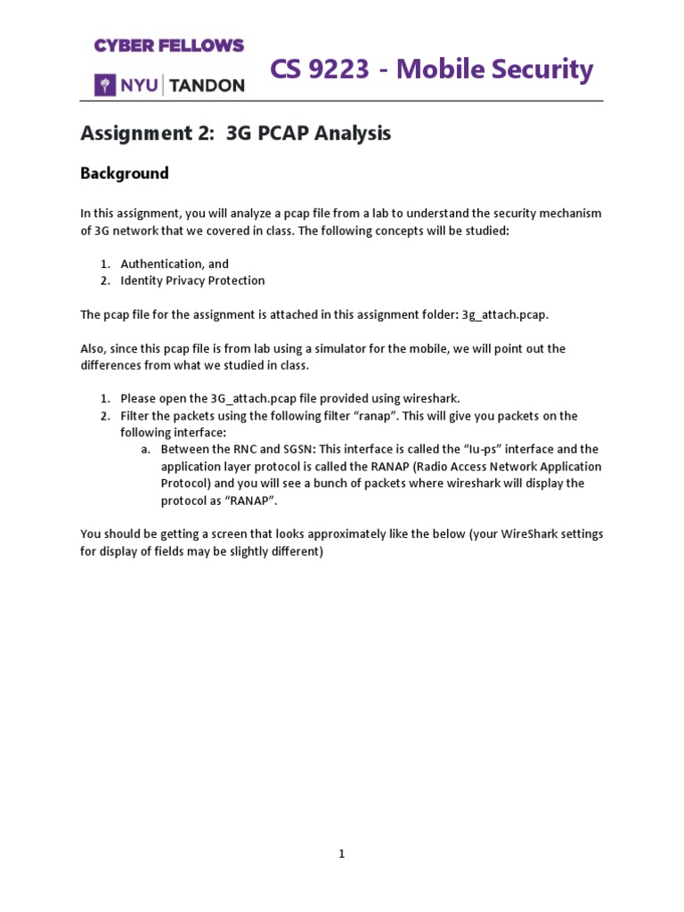 3G PCAP Analysis Assignment Guide | PDF | Authentication | Data ...