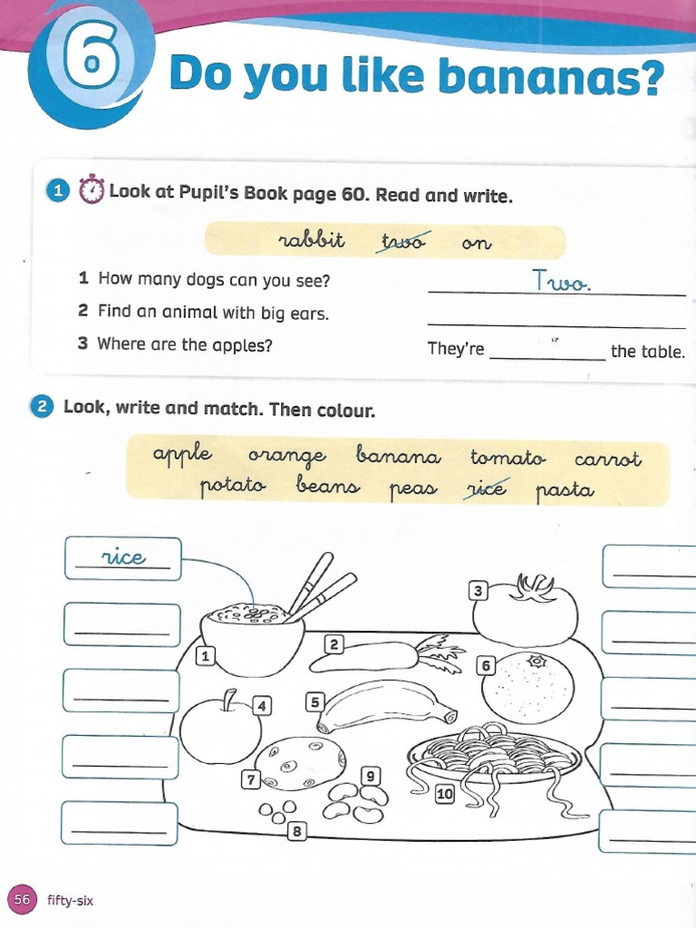 Unit 6 Team Up 1 | PDF