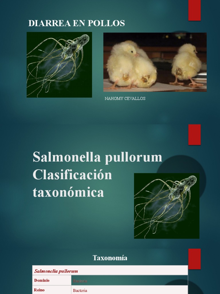 Salmonella Pullorum | PDF | Salmonela | Escherichia coli