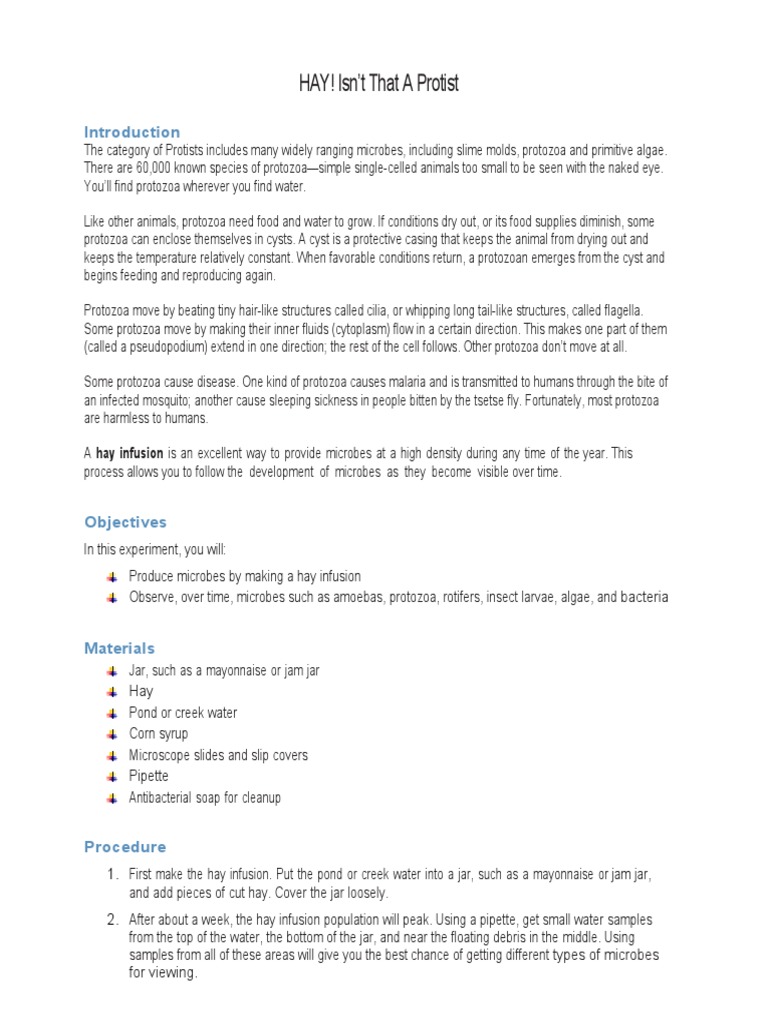 Microbes HAY INFUSION | PDF | Protozoa | Organisms